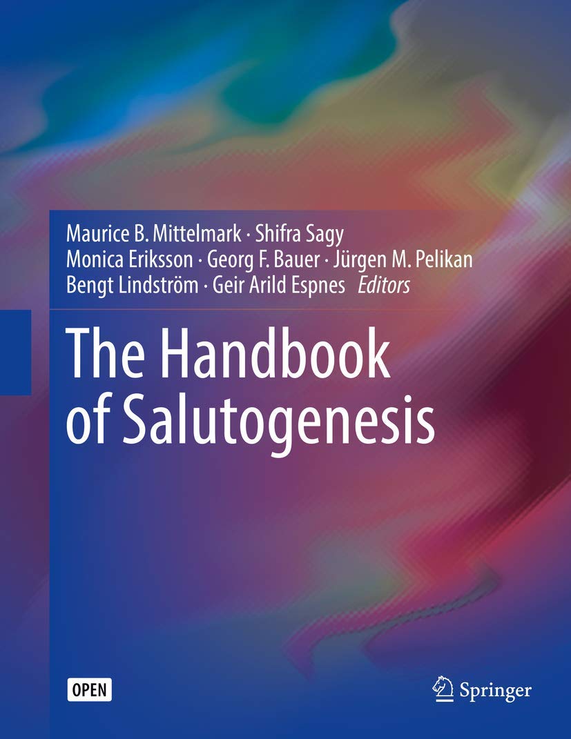 Creating a salutogenic workplace - Ron Immink